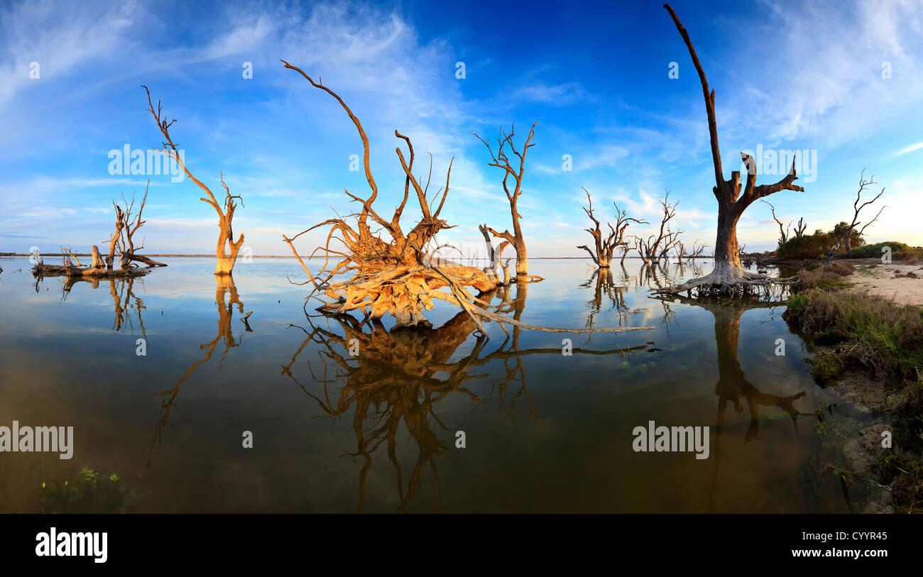Lake Bonney Barmera Riverland South Australia Stock Photo - Alamy