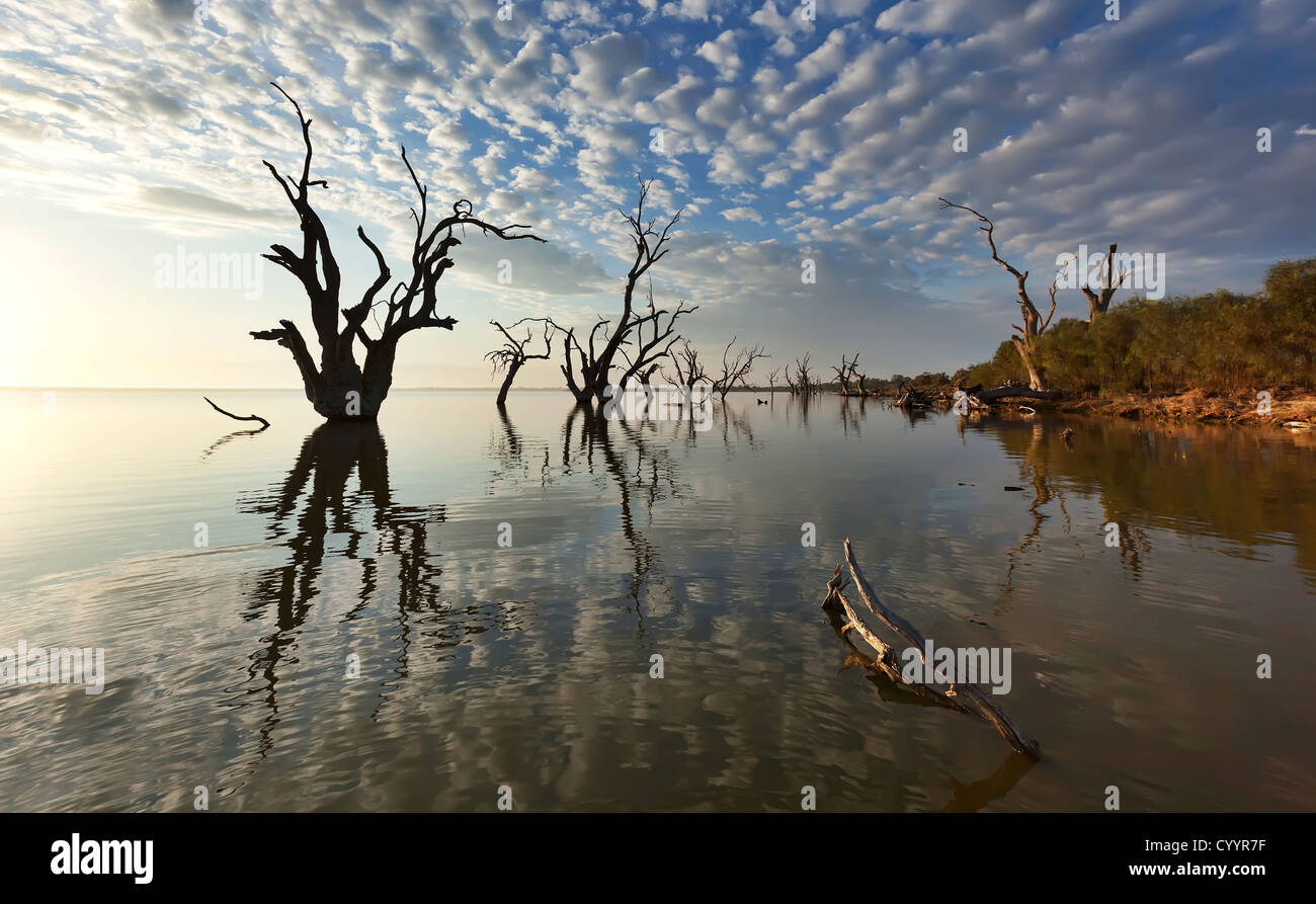 Lake Bonney Barmera Riverland South Australia Stock Photo - Alamy