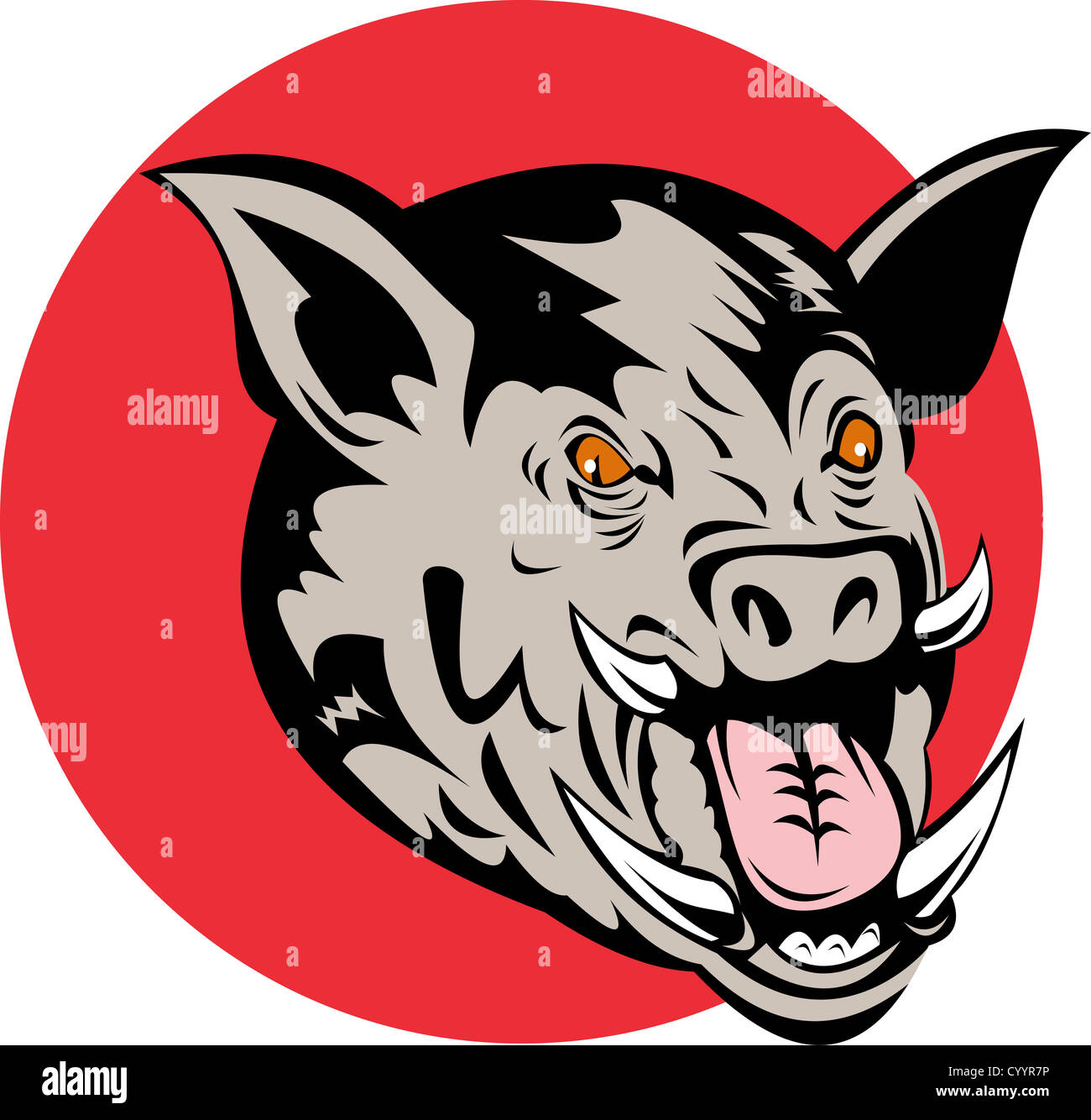 Razorback pig hi-res stock photography and images - Alamy