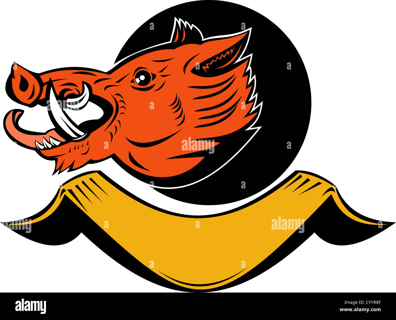 Razorback pig hi-res stock photography and images - Alamy