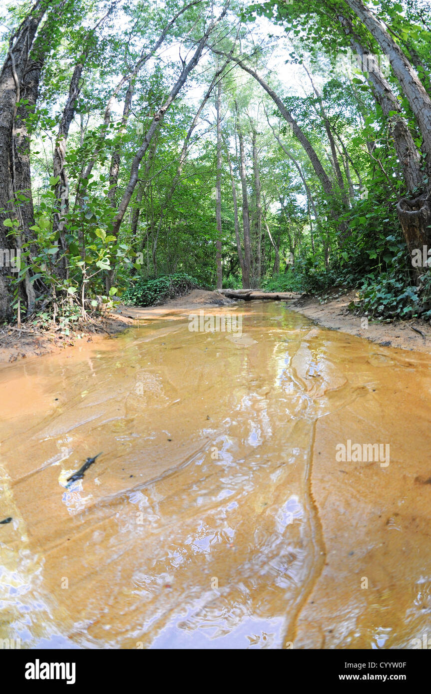 small rivulet in forest near Rustrel, Provence in France Stock Photo ...