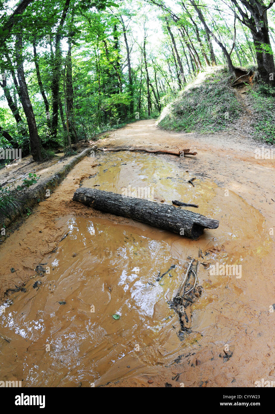 small rivulet in forest near Rustrel, Provence in France Stock Photo ...
