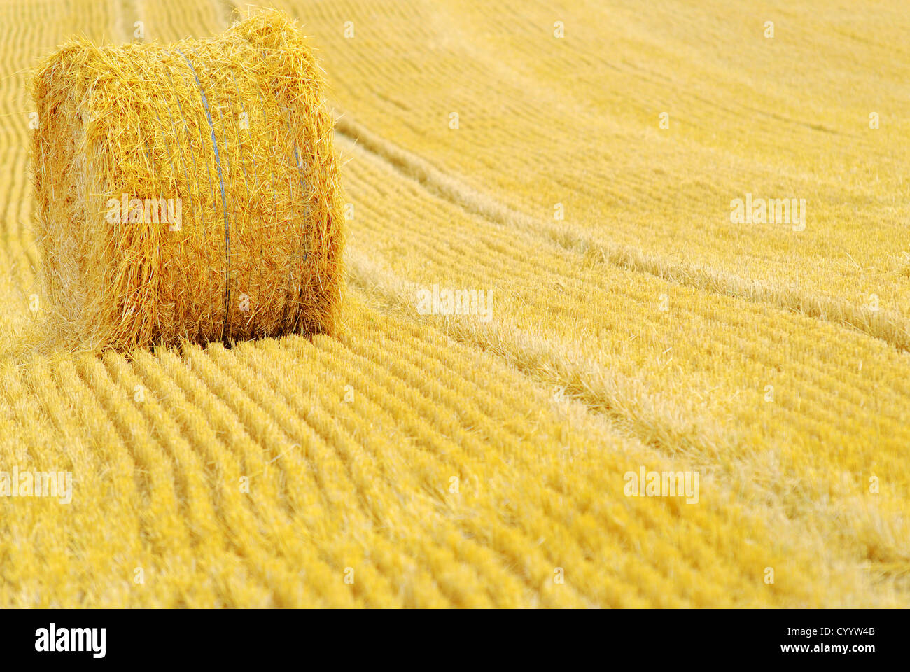 strawball in harvested field Stock Photo - Alamy