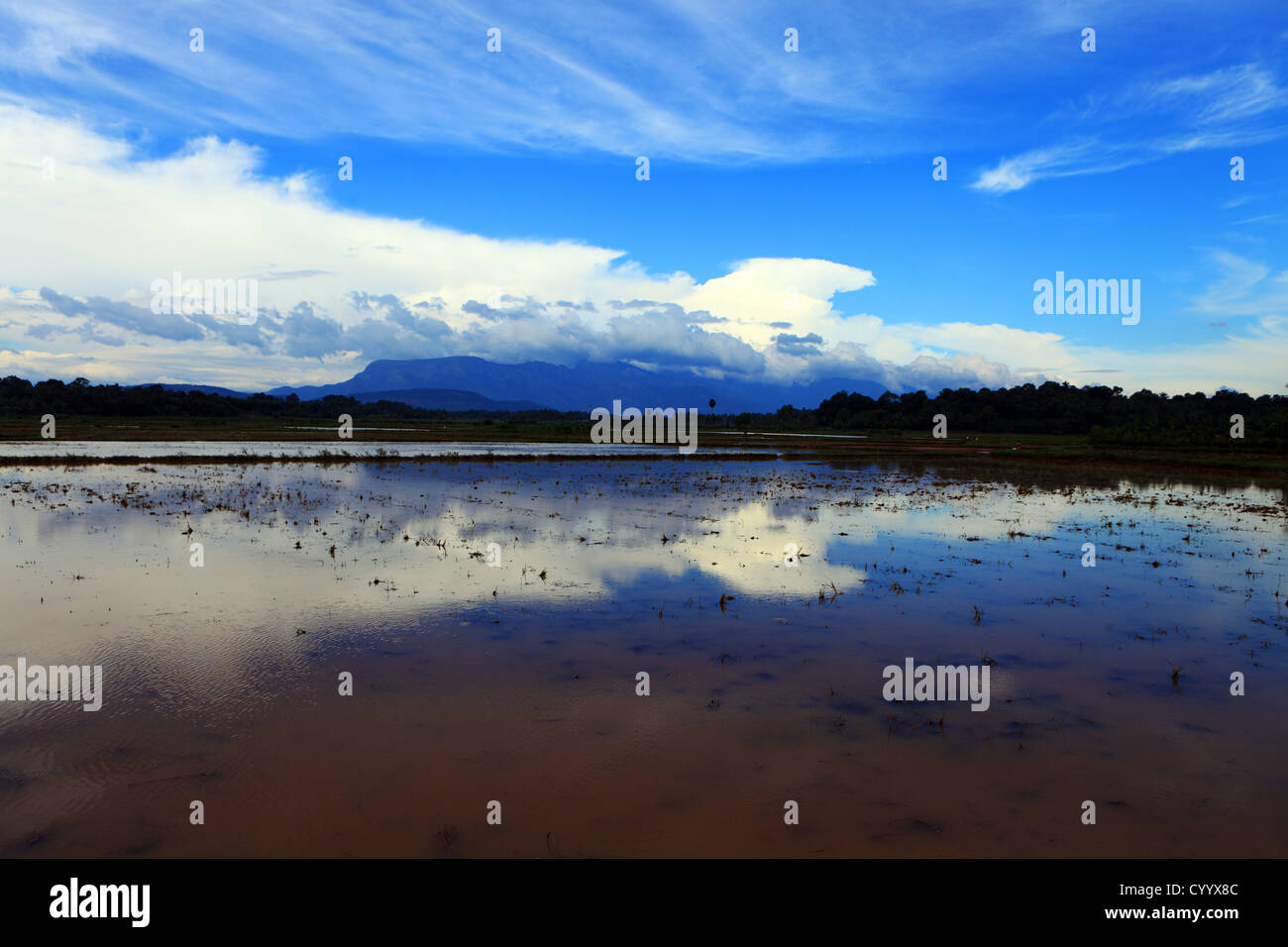 landscape of palakkad district, kerala, india Stock Photo - Alamy