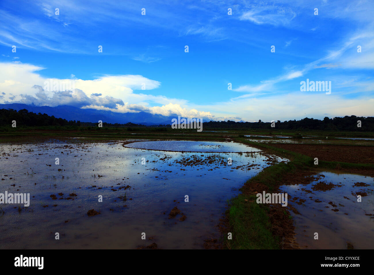 landscape of palakkad district, kerala, india Stock Photo - Alamy