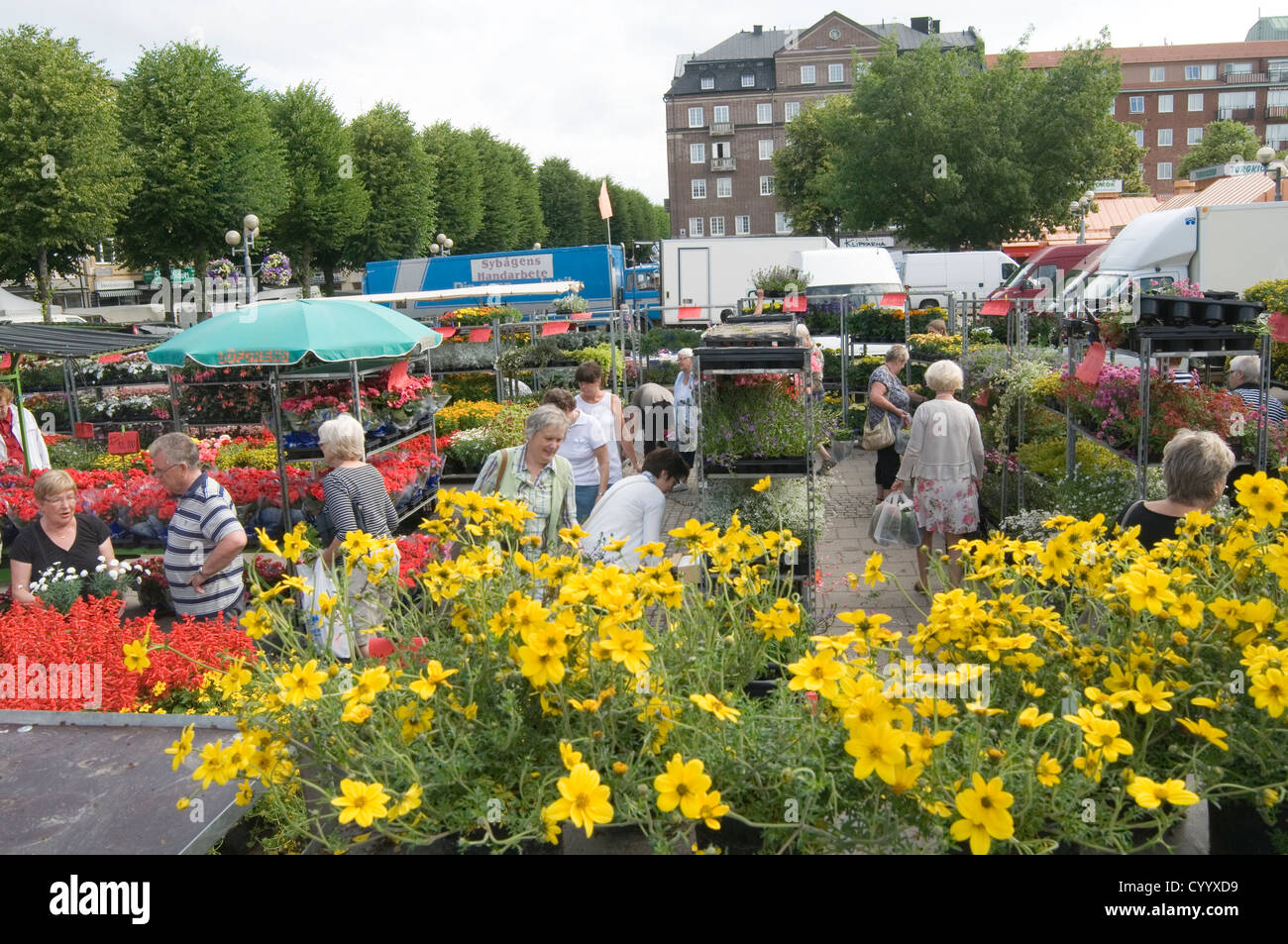 Swedish flower hi-res stock photography and images - Alamy