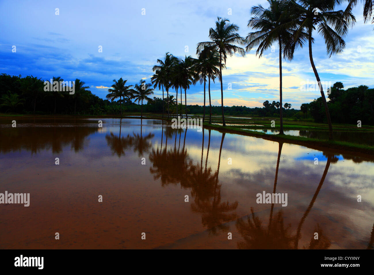 landscape of palakkad district, kerala, india Stock Photo - Alamy