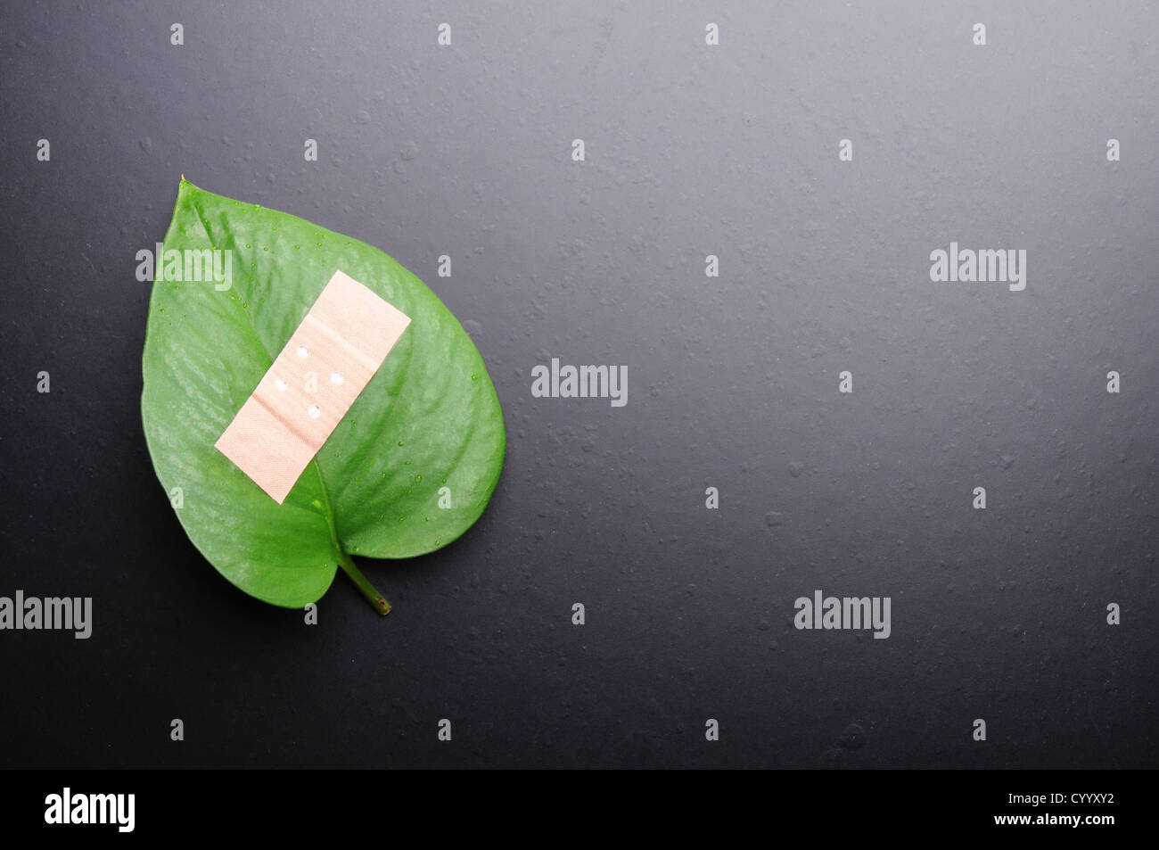 Earth band aid hi-res stock photography and images - Alamy