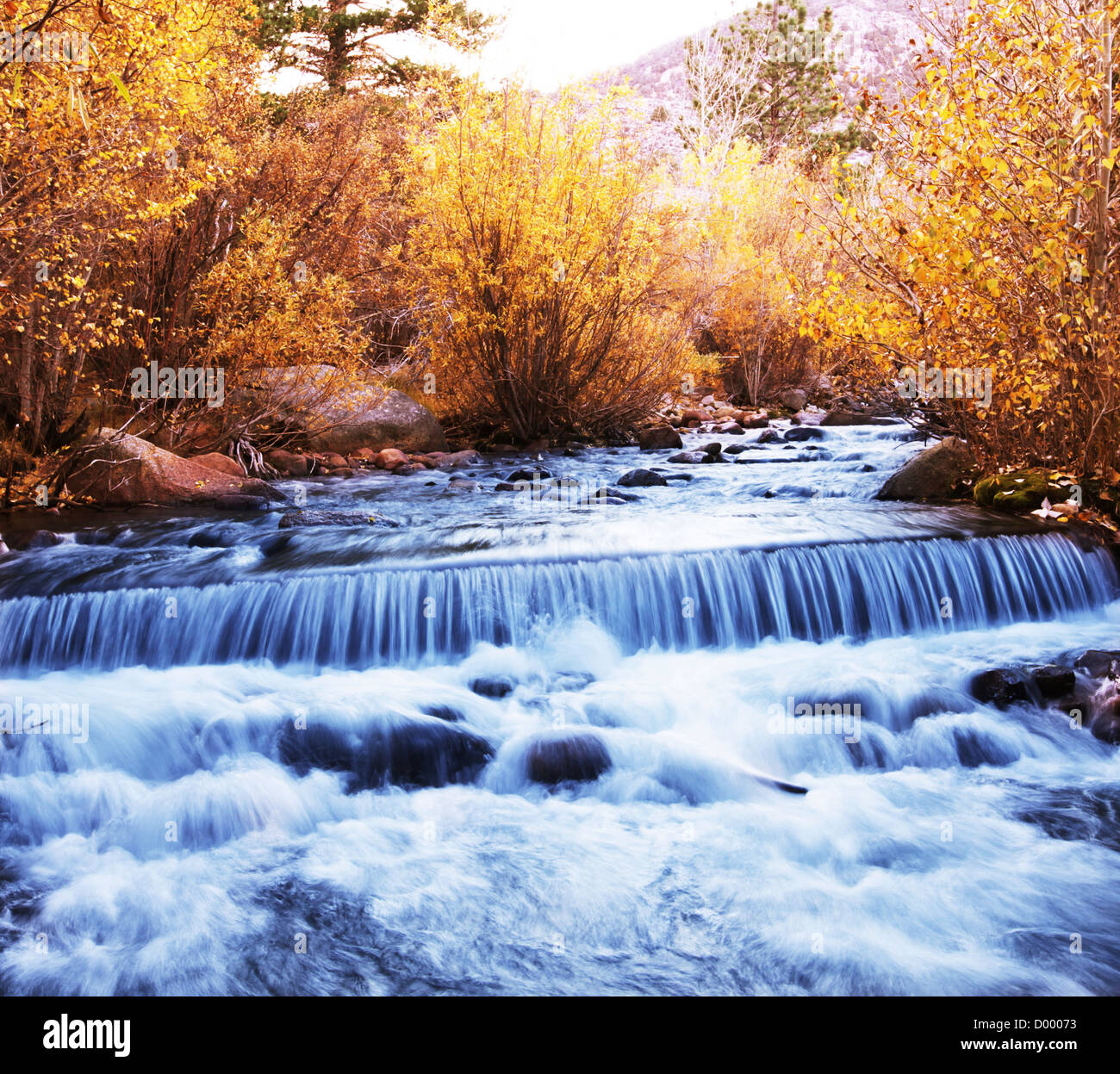 Serene creek scene hi-res stock photography and images - Alamy