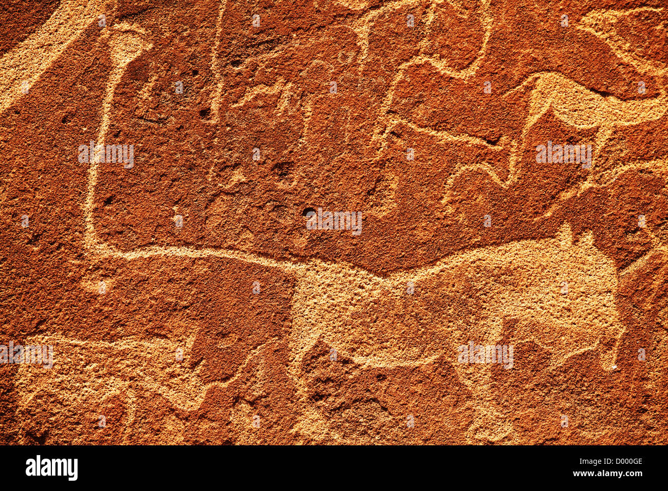Ancient giraffe engraving hi-res stock photography and images - Alamy