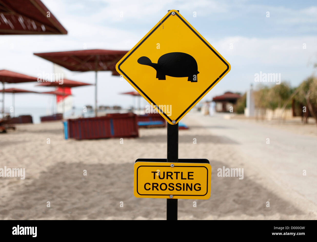 Turtle Crossing Sign High Resolution Stock Photography and Images - Alamy