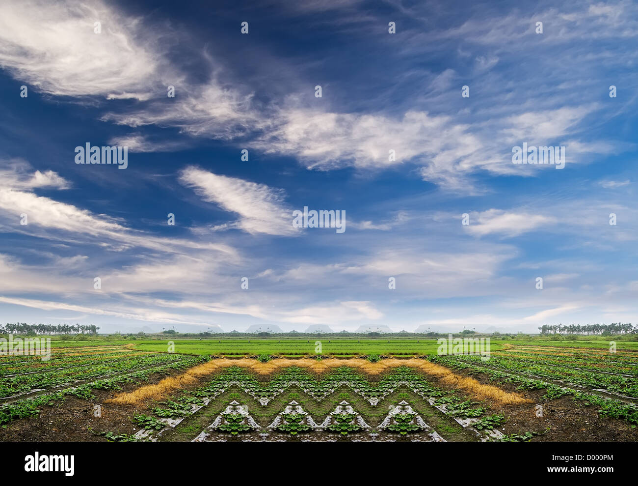 Landscape of green farm under the blue sky Stock Photo - Alamy