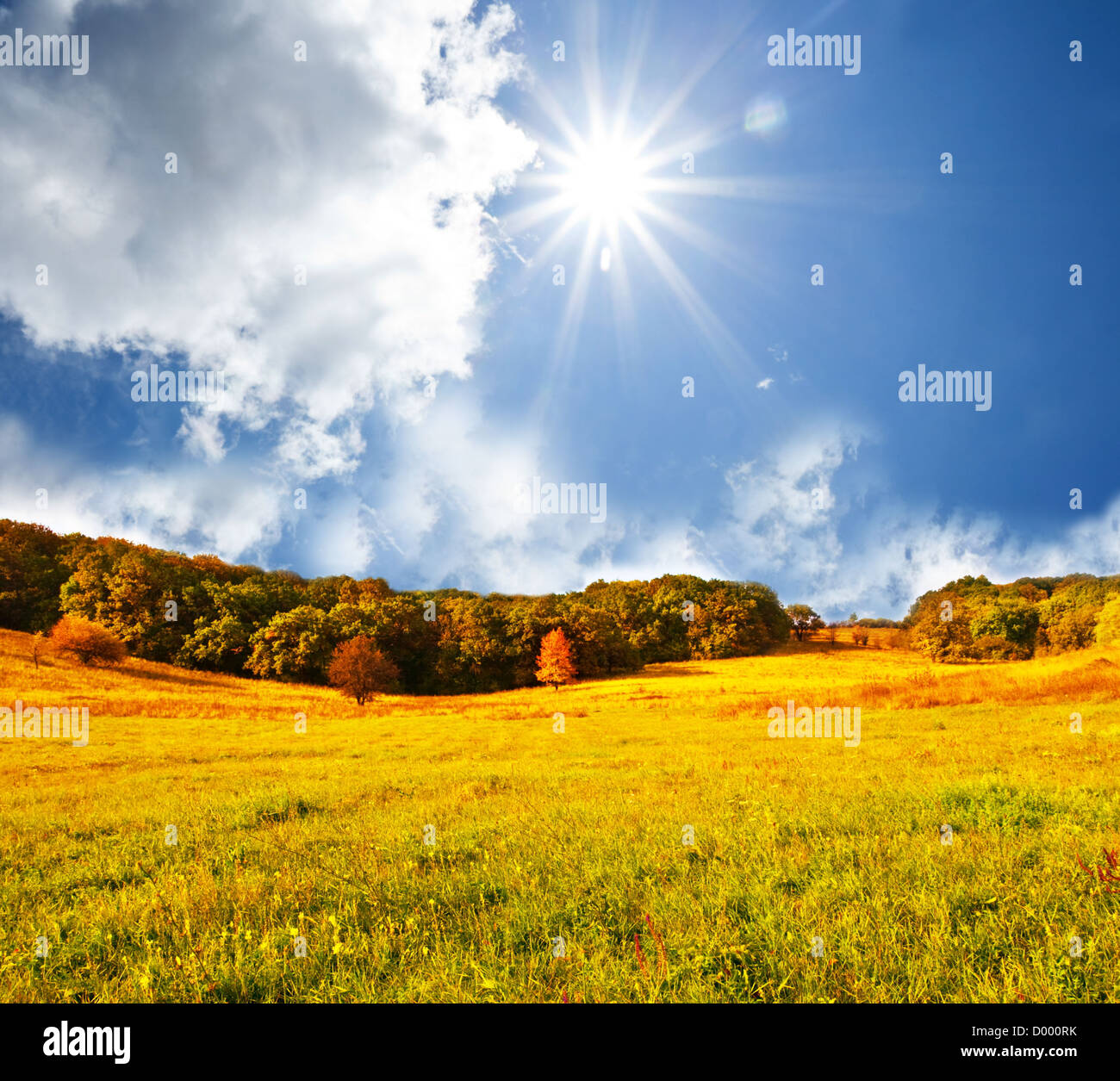 Autumn crimea hi-res stock photography and images - Alamy