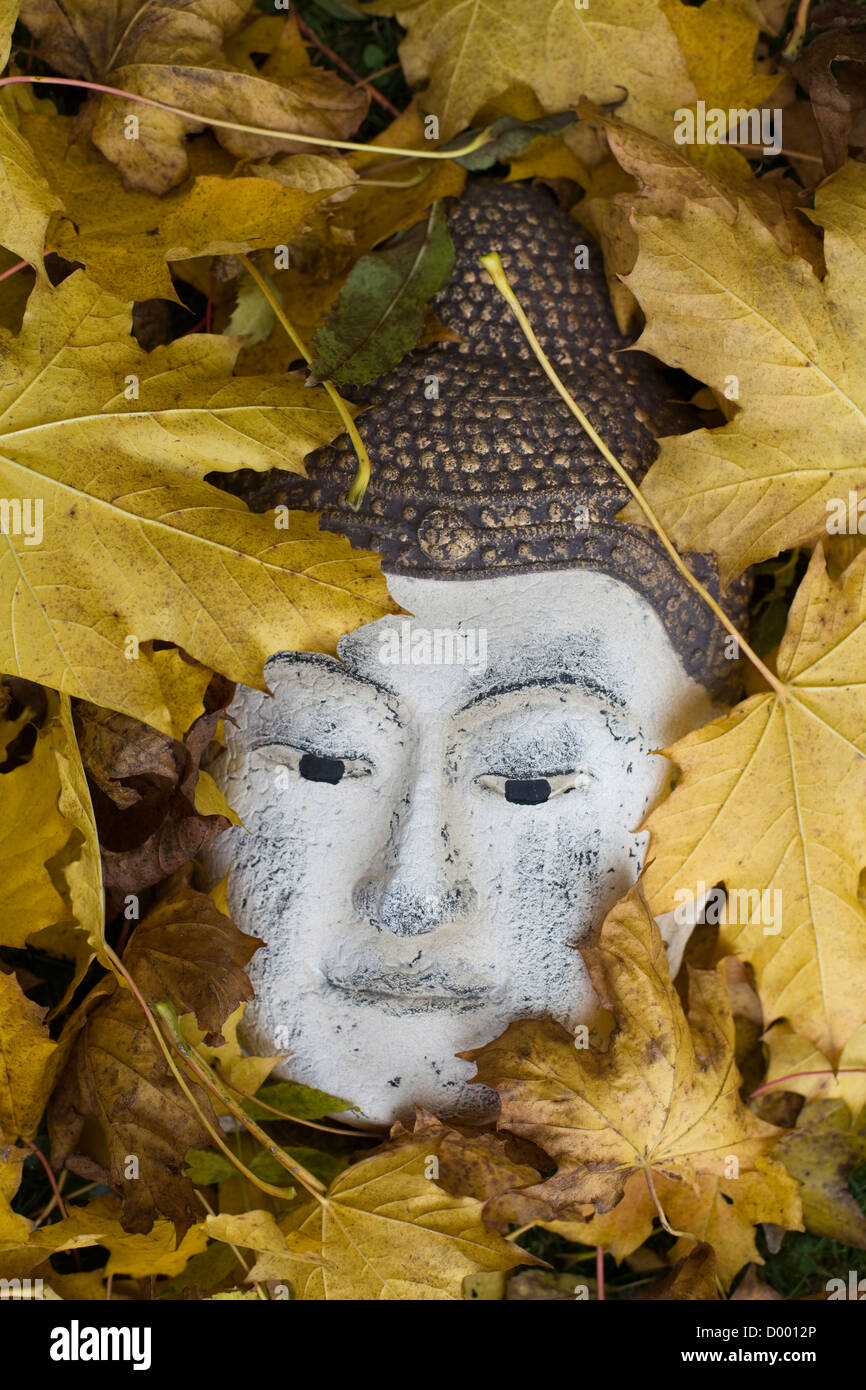Autumn Leaves with Buddha peaking through Stock Photo - Alamy