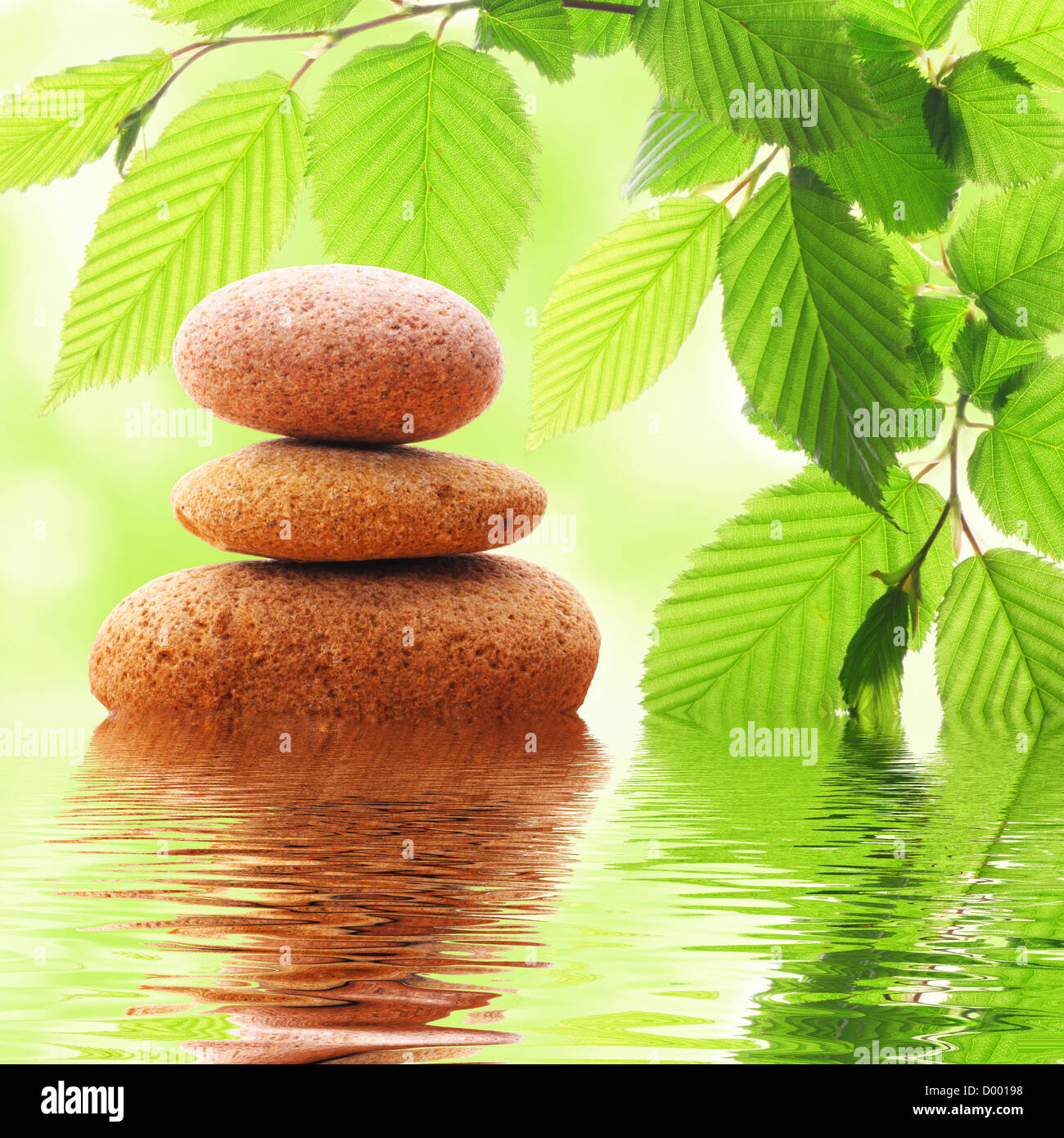 zen stones and green leaves showing spa concept with water reflection ...
