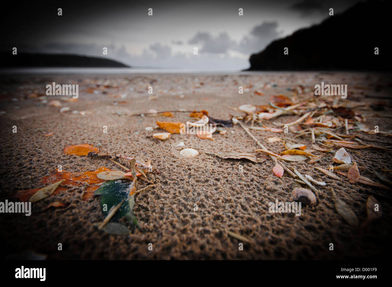 Ants eye view hi-res stock photography and images - Alamy