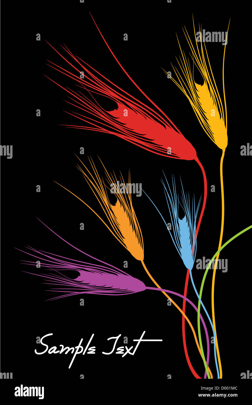 illustration of colorful wheat grain card Stock Photo - Alamy