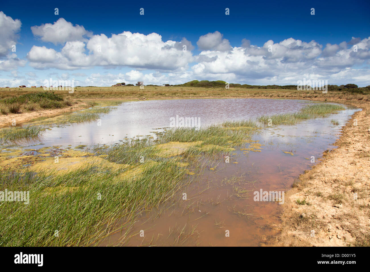 Windmill Farm; Cornwall Wildlife Trust Reserve; UK Stock Photo - Alamy