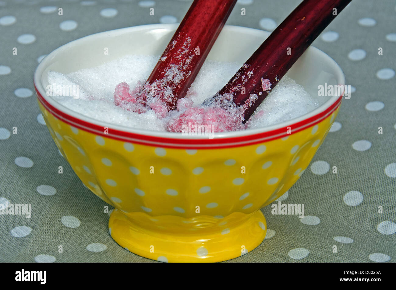 Rhubarb stalks dipped in sugar. Candy for children Stock Photo - Alamy