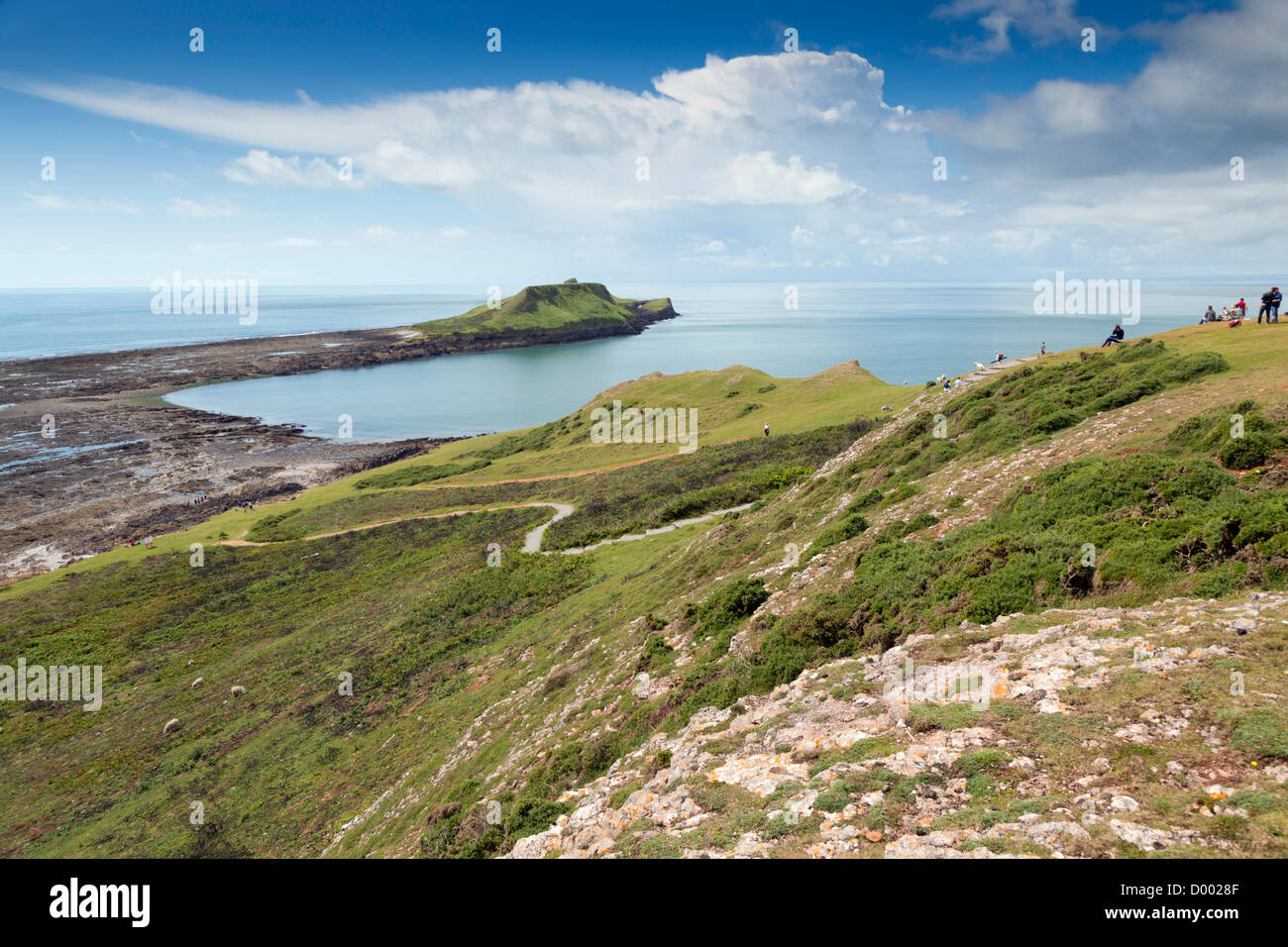 Worms head hi-res stock photography and images - Alamy