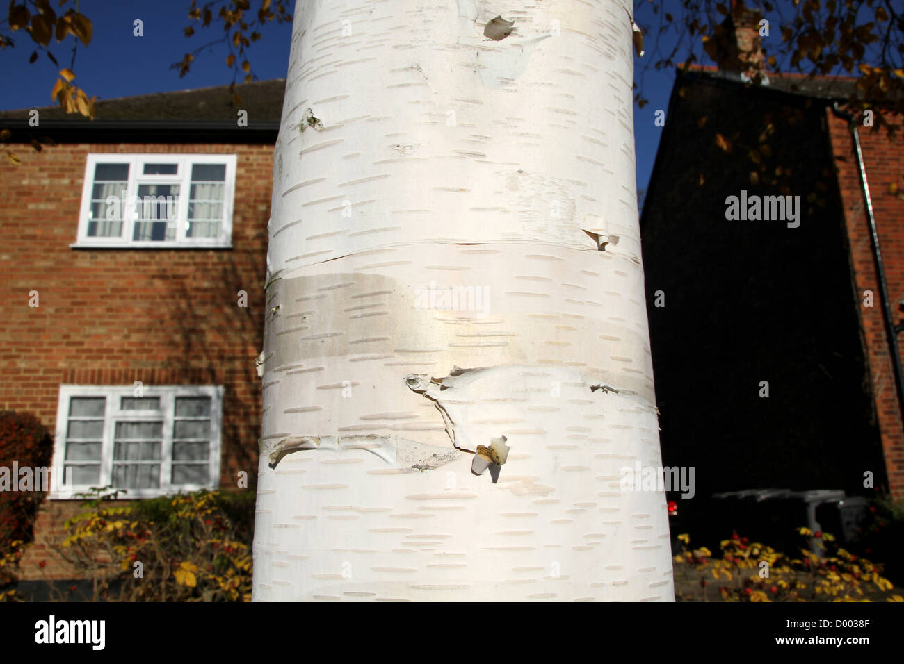Birch bark house hi-res stock photography and images - Alamy