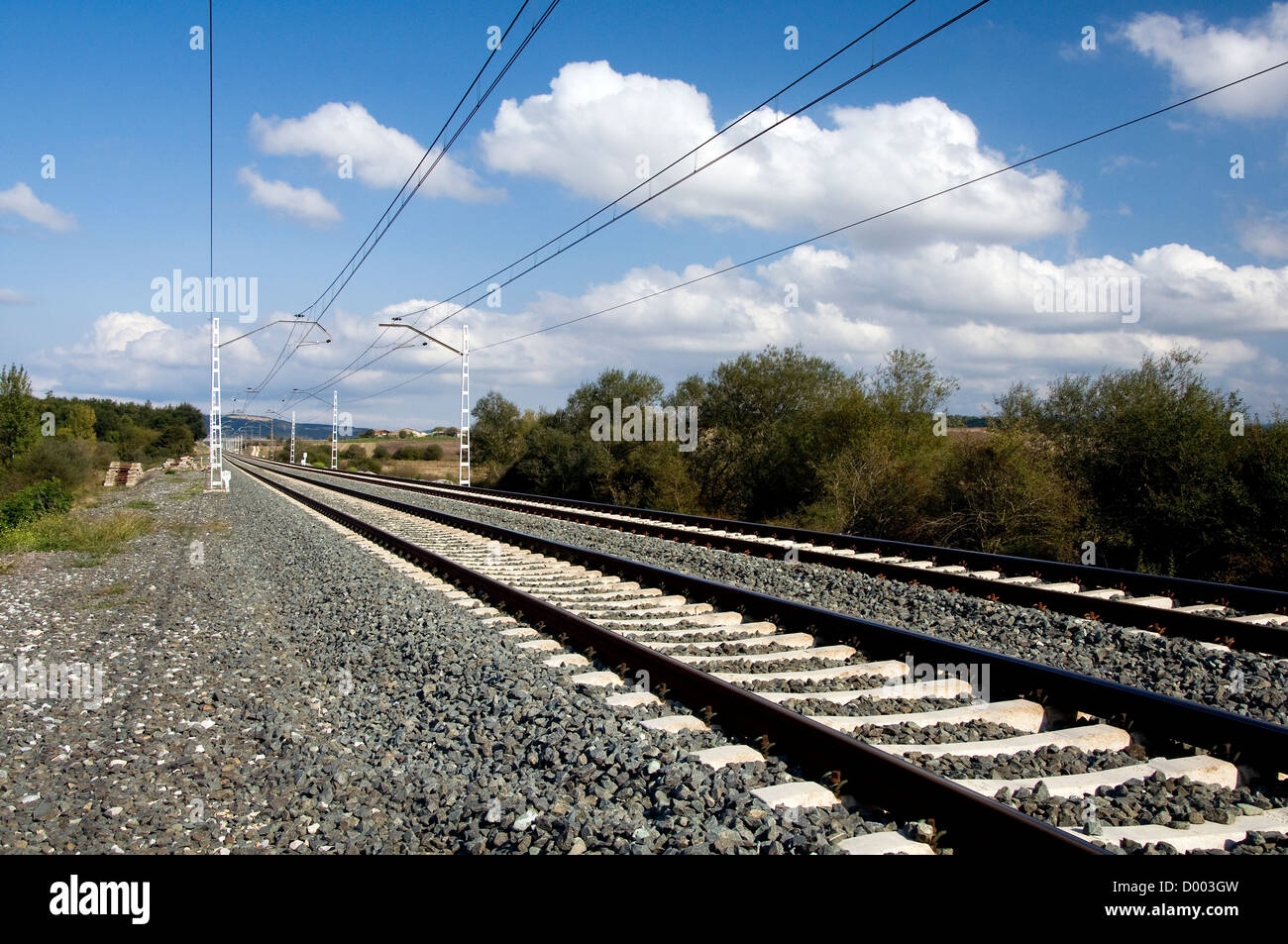 Rail track between trees hi-res stock photography and images - Alamy