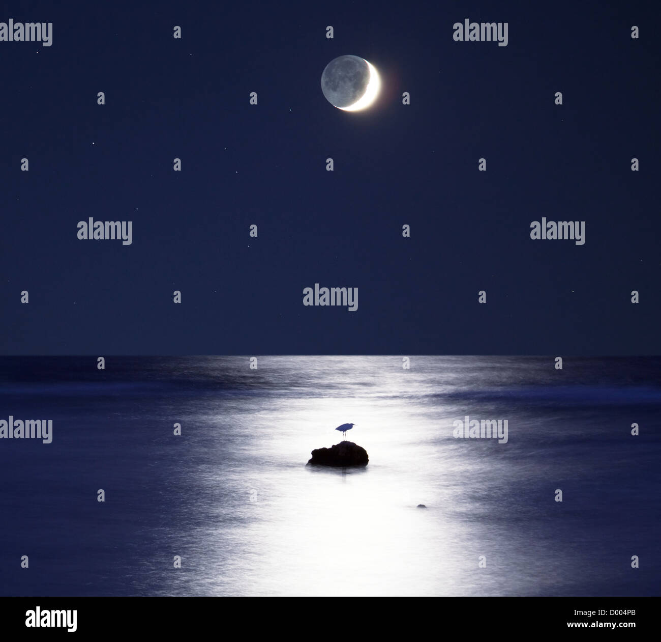 Moonlight, moonlit, sea Stock Photo - Alamy