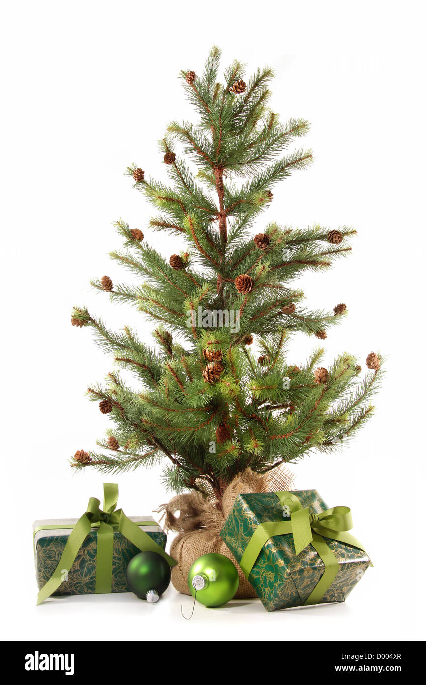 Tree gifts Cut Out Stock Images & Pictures - Alamy