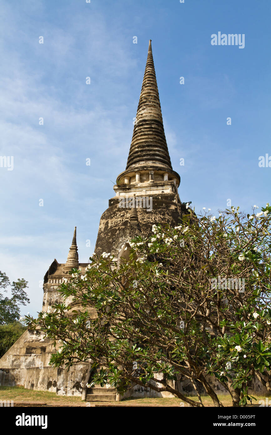 The Stupa of the Temple Wat Phra Sri Sanphet in the Ayutthaya ...