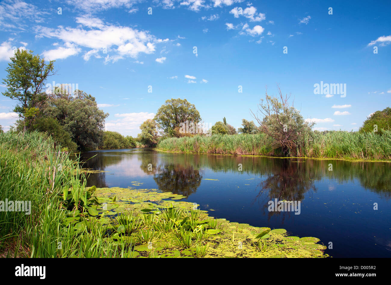 River Zala at Lake Balaton, Hungary Stock Photo - Alamy