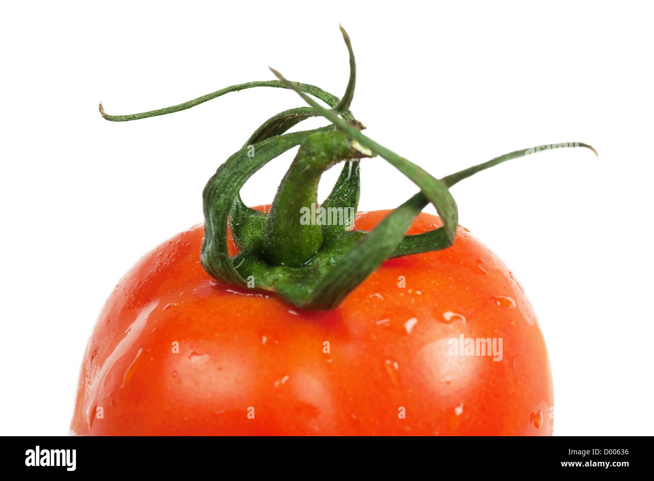 Shiny tomato peel hi-res stock photography and images - Alamy