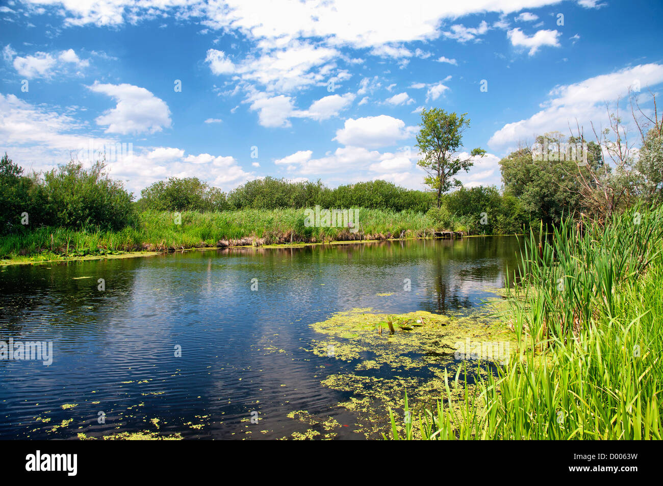 River Zala at Lake Balaton, Hungary Stock Photo - Alamy
