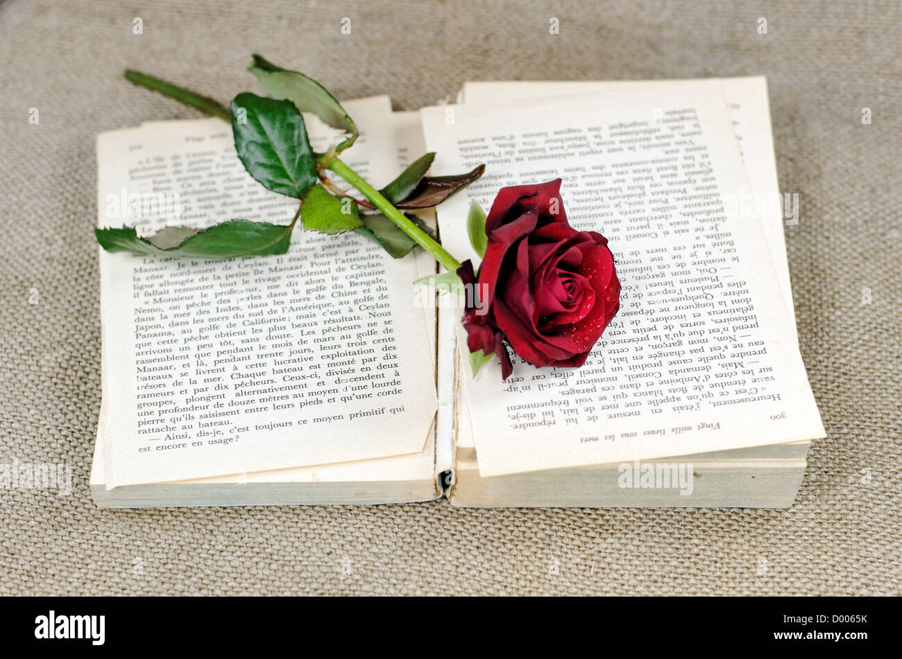a book covered with a red rose Stock Photo - Alamy