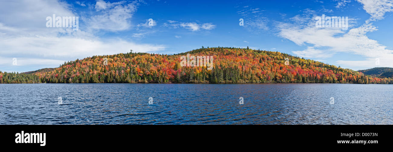 Deciduous forest reflection in an lake beautiful autumn colors Stock ...