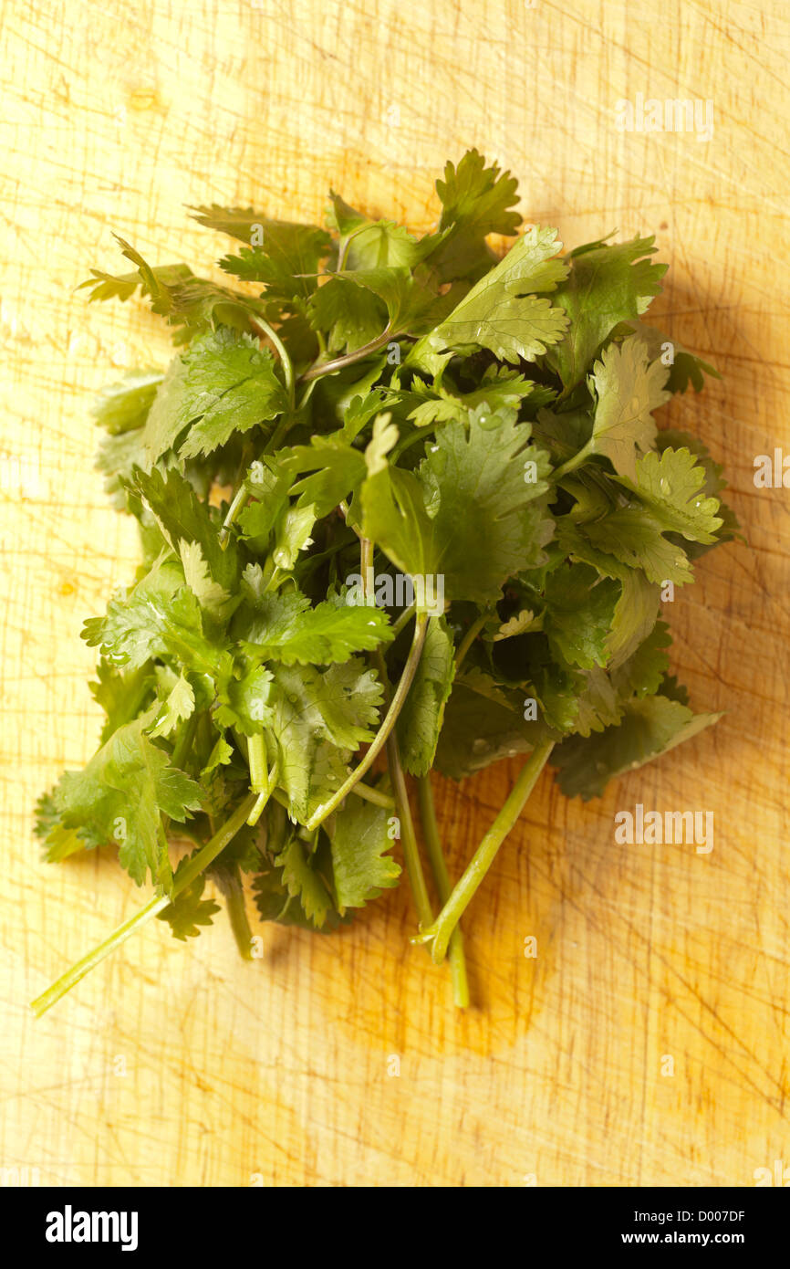 Coriander leaves hi-res stock photography and images - Alamy