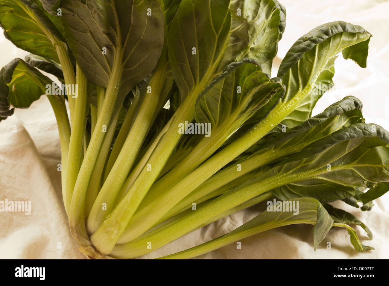 Organic tatsoi, the Chinese vegtable Stock Photo - Alamy