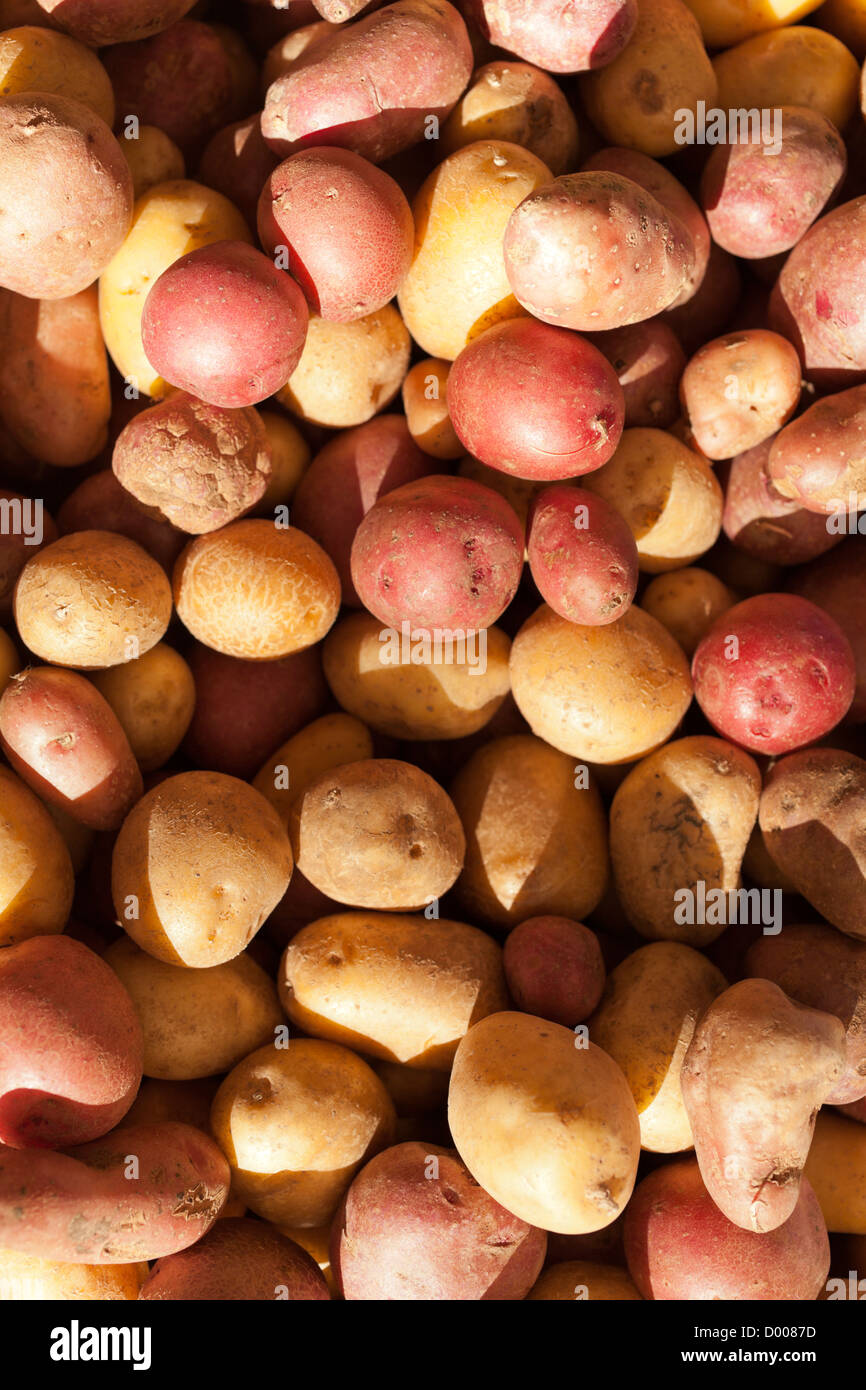 Square potatoes hi-res stock photography and images - Alamy