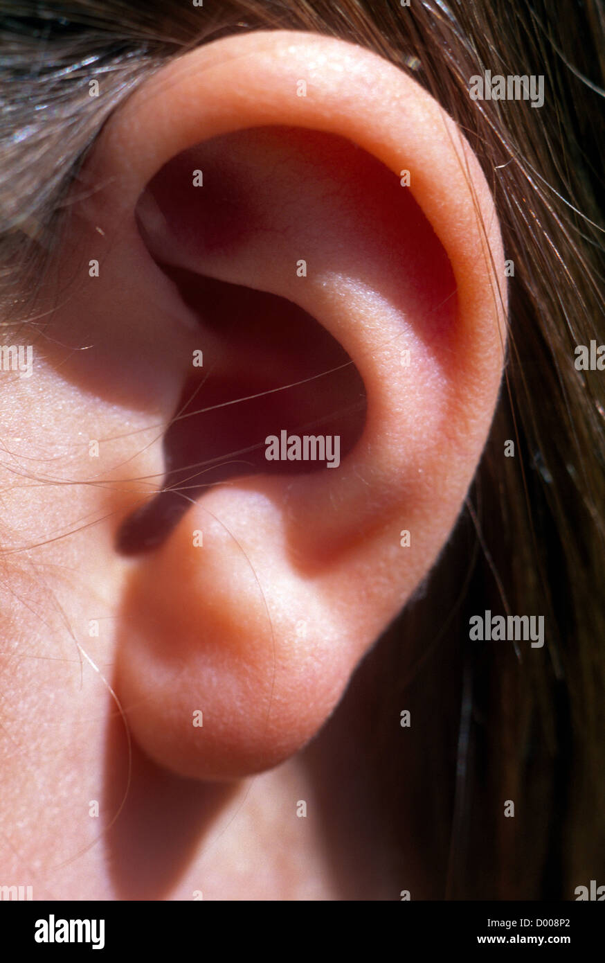 Antihelix High Resolution Stock Photography and Images - Alamy