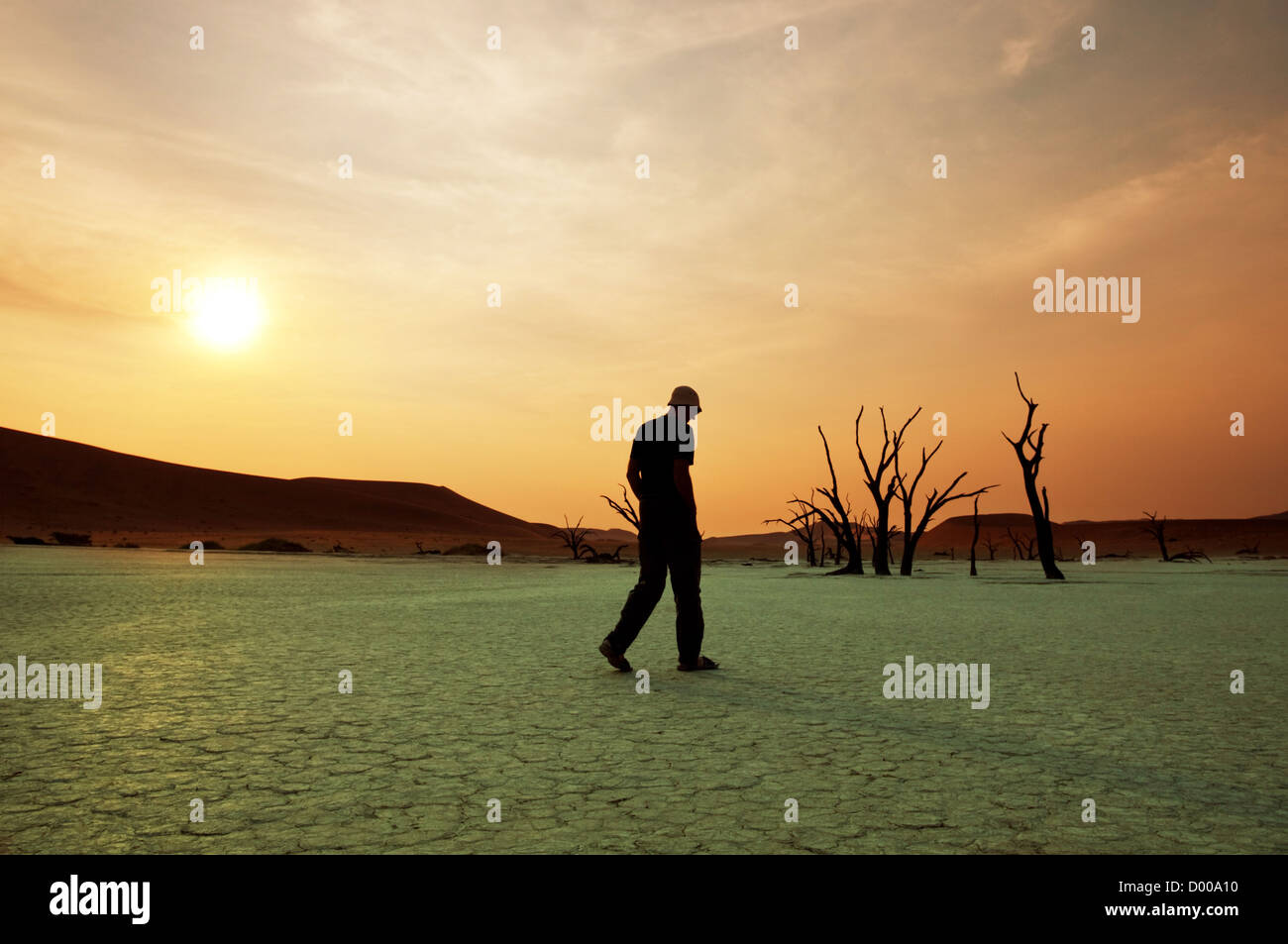 Dead valley in Namibia Stock Photo - Alamy