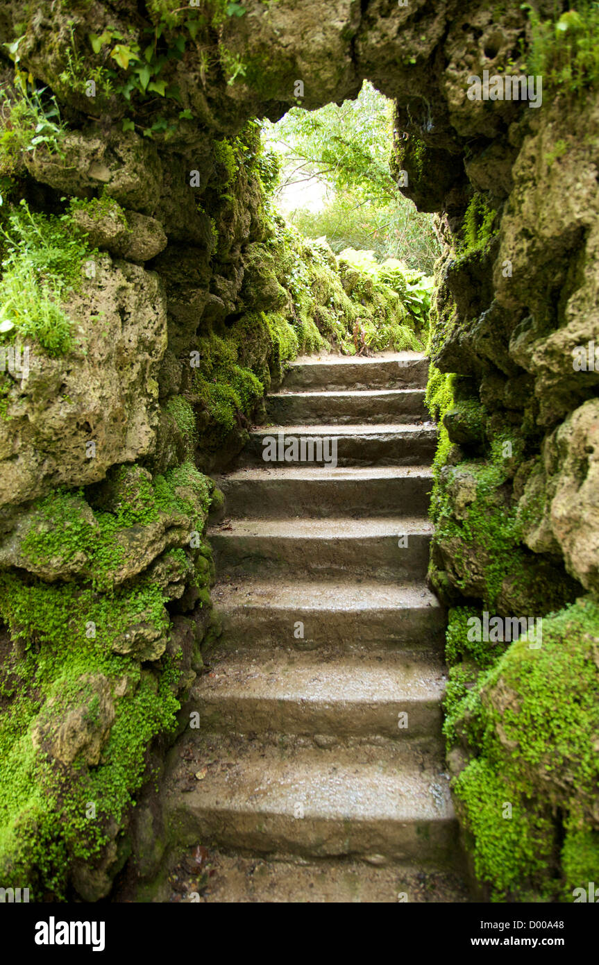 small stone stairs at a green garden in autumn Stock Photo - Alamy