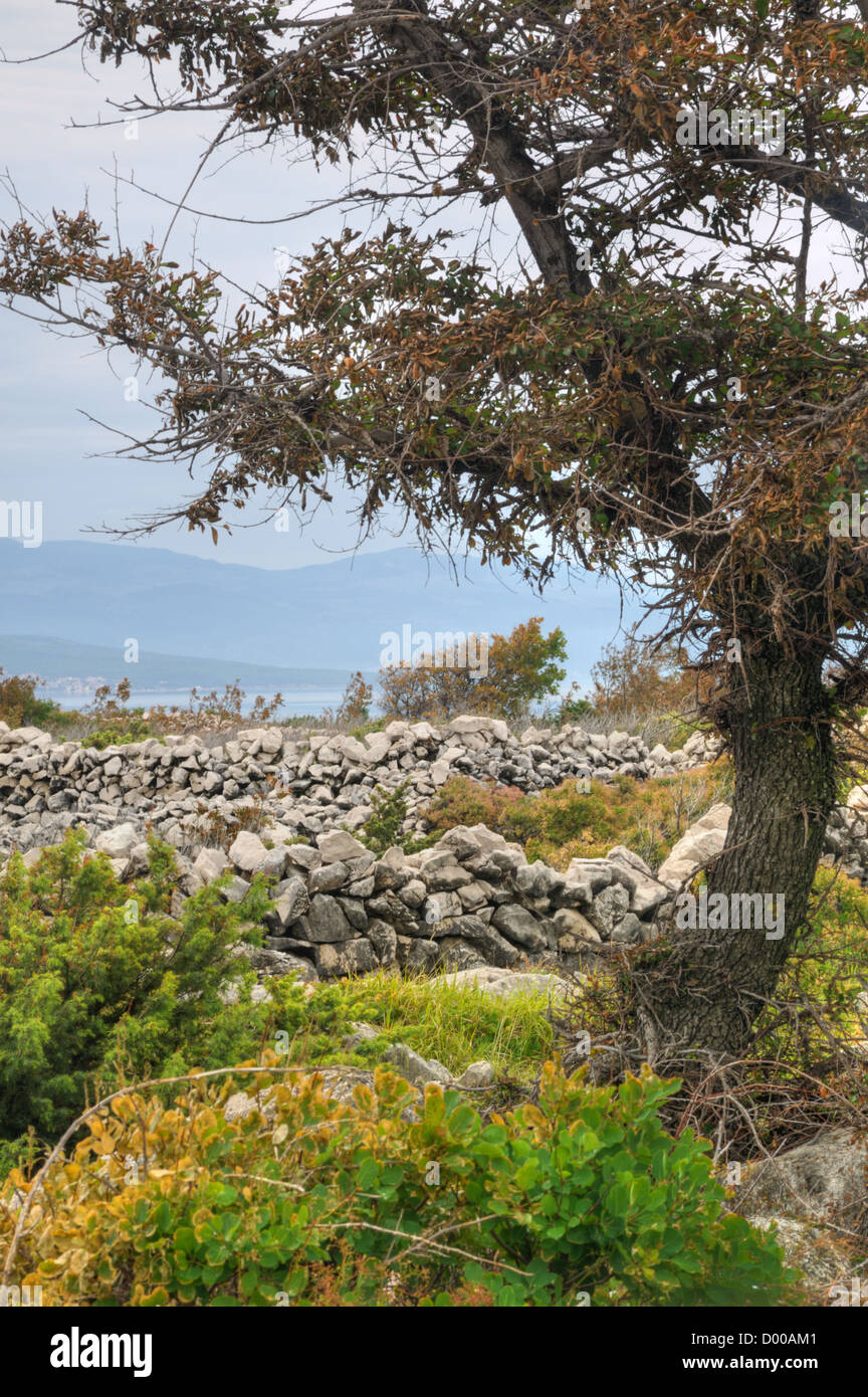 Pastures, drystone walls near Rudine, Krk island, Croatia Stock Photo ...
