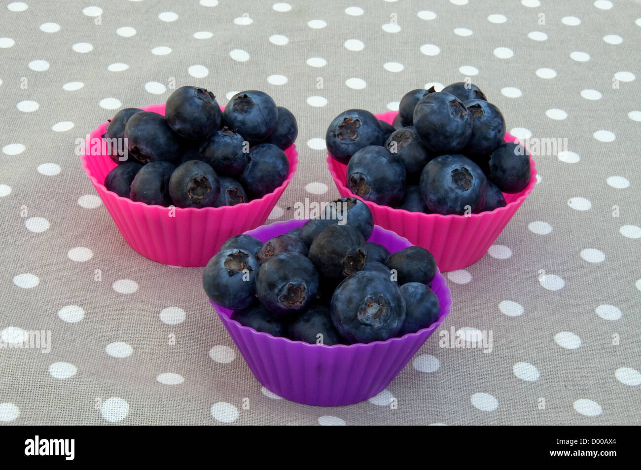 Muffin forms filled with blueberries Stock Photo - Alamy