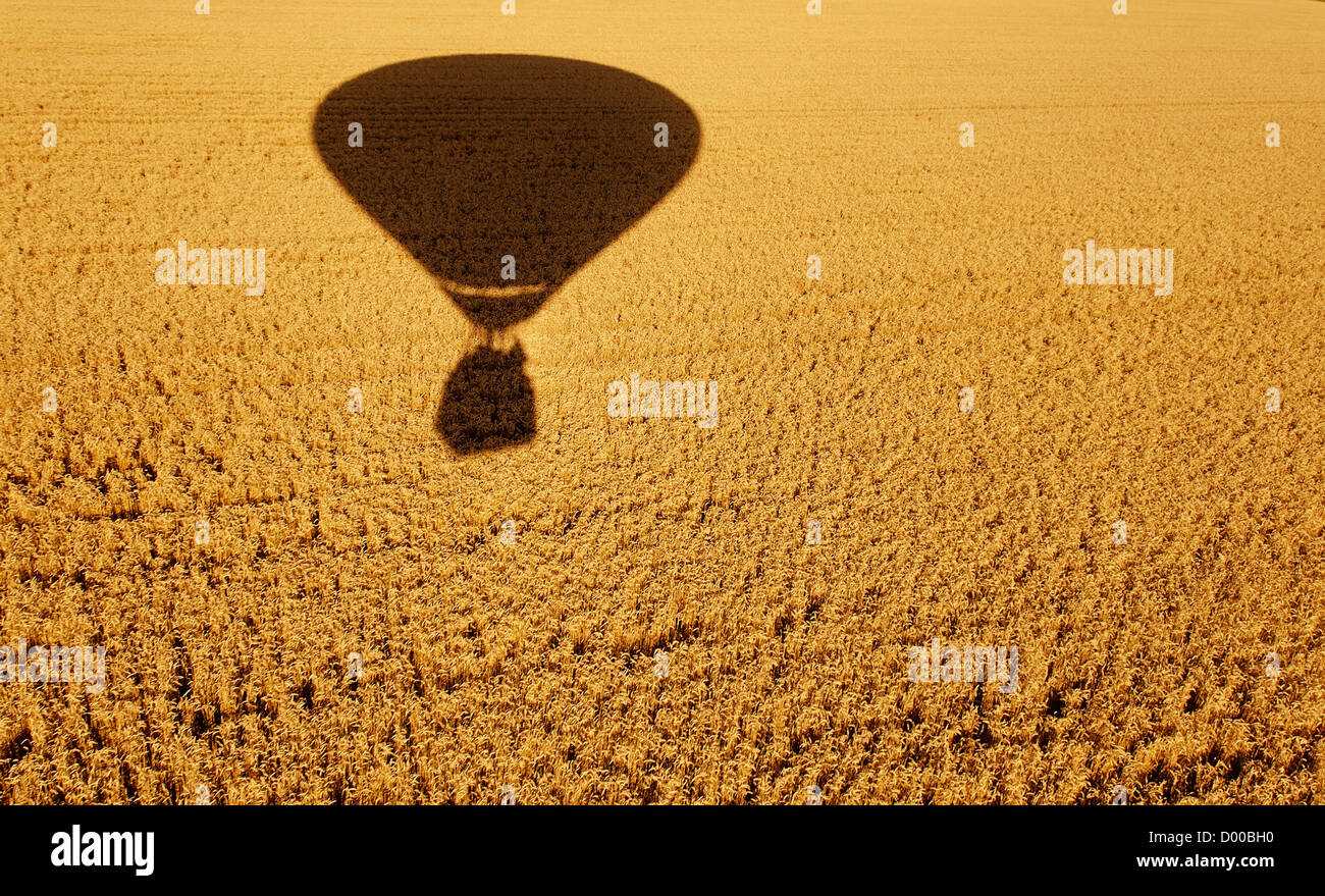 the shadow of a ot air balloon in the field Stock Photo - Alamy