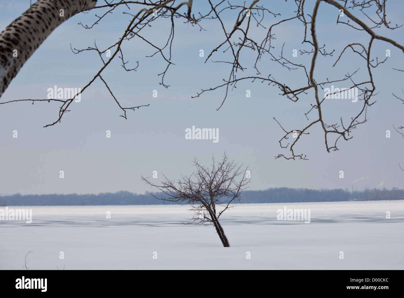 Outdoor scene nature hi-res stock photography and images - Alamy