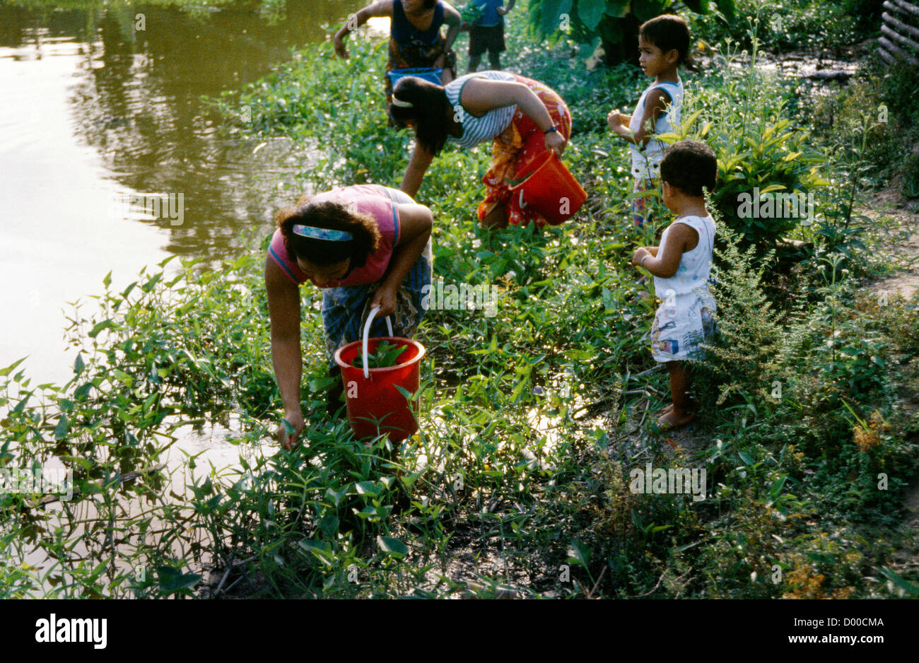 Iban family hi-res stock photography and images - Alamy