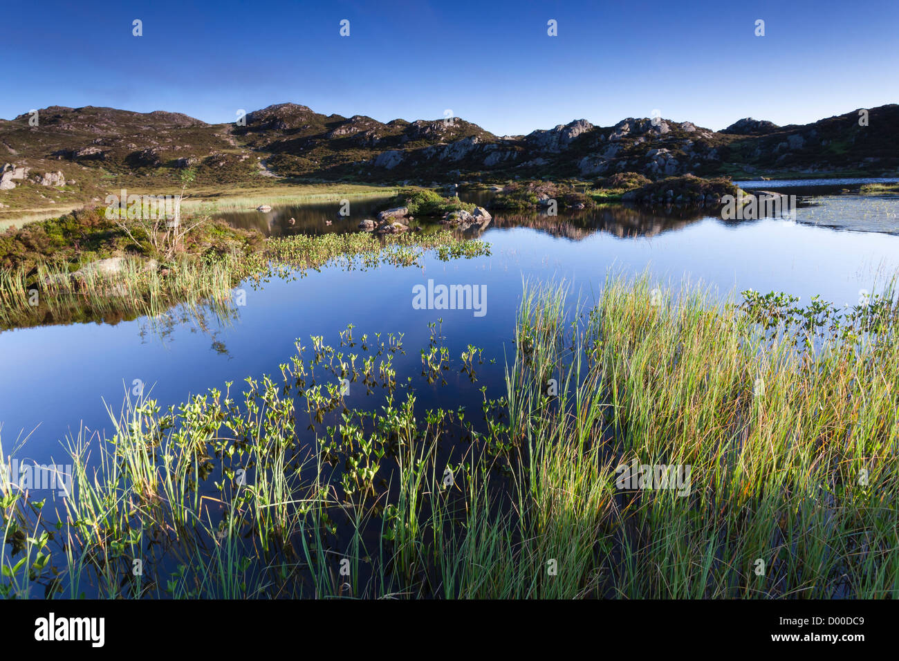 Sun rising over Innominate Tarn below the summit of Haystacks in the ...