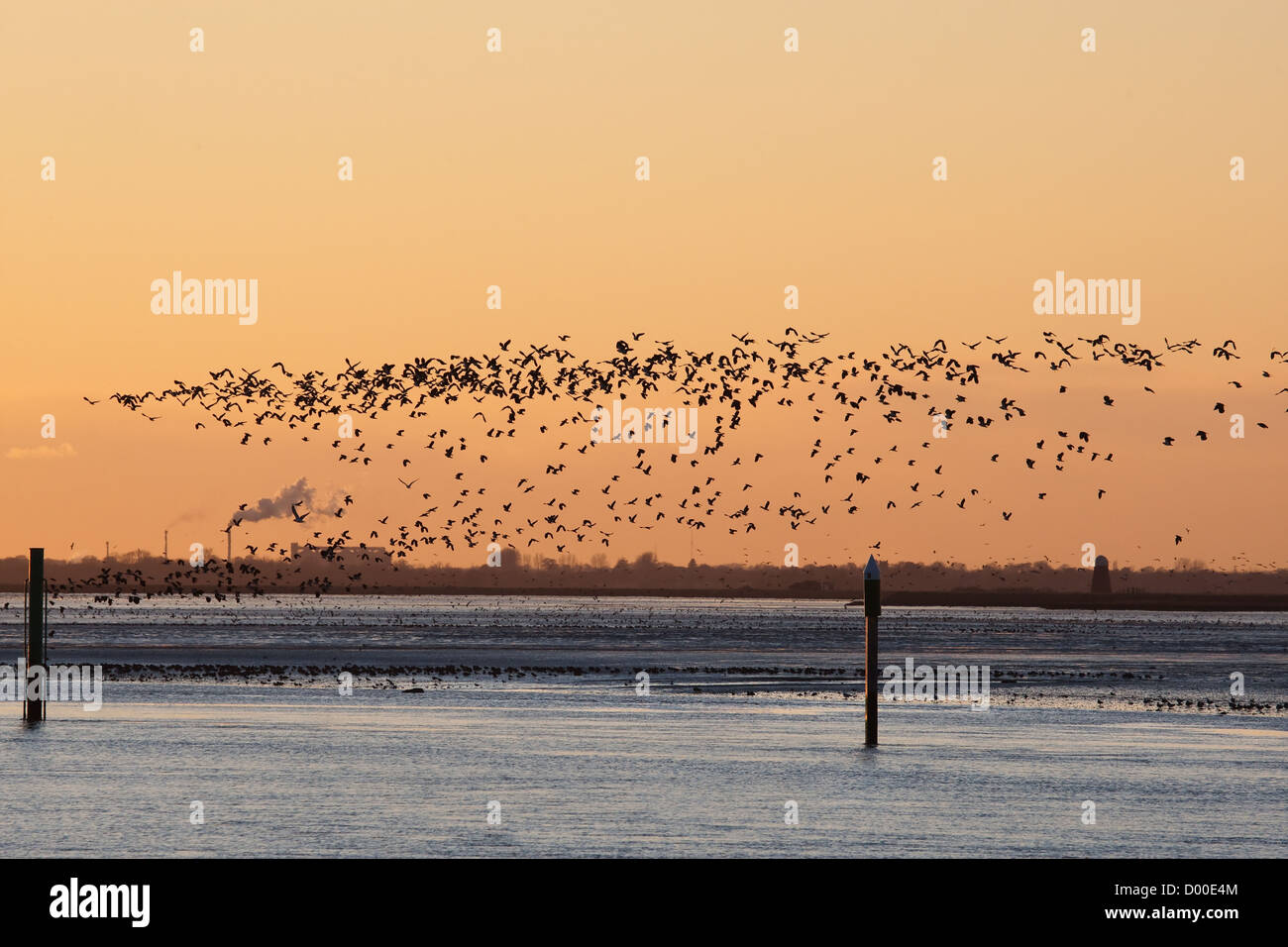 Great yarmouth breydon water norfolk hi-res stock photography and ...