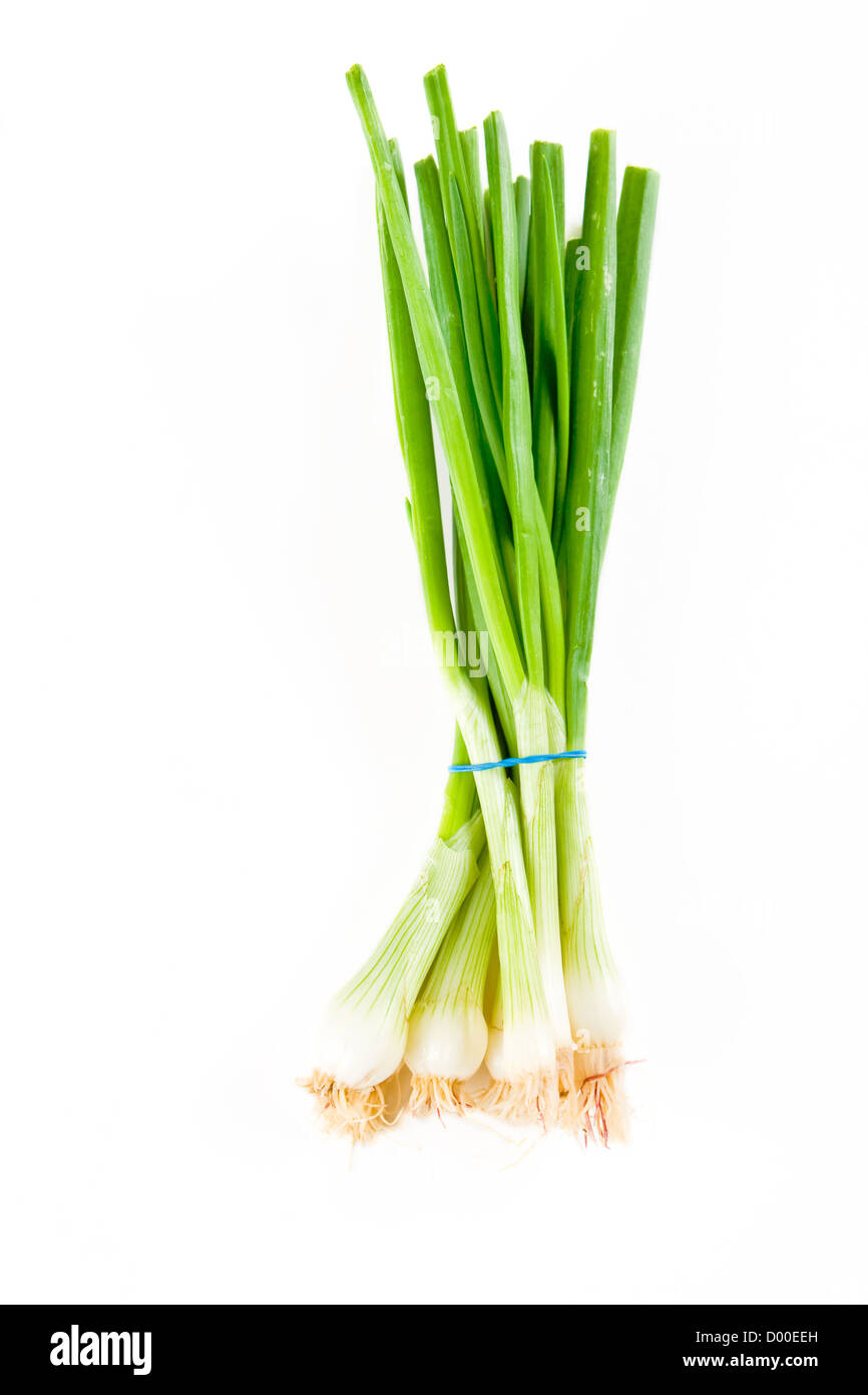 A bunch of spring onions on a white background Stock Photo - Alamy