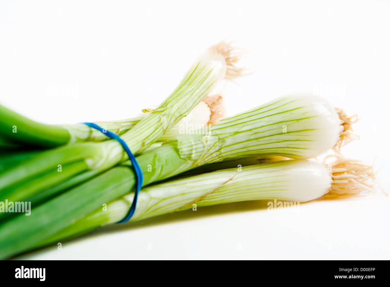 A bunch of spring onions on a white background Stock Photo - Alamy