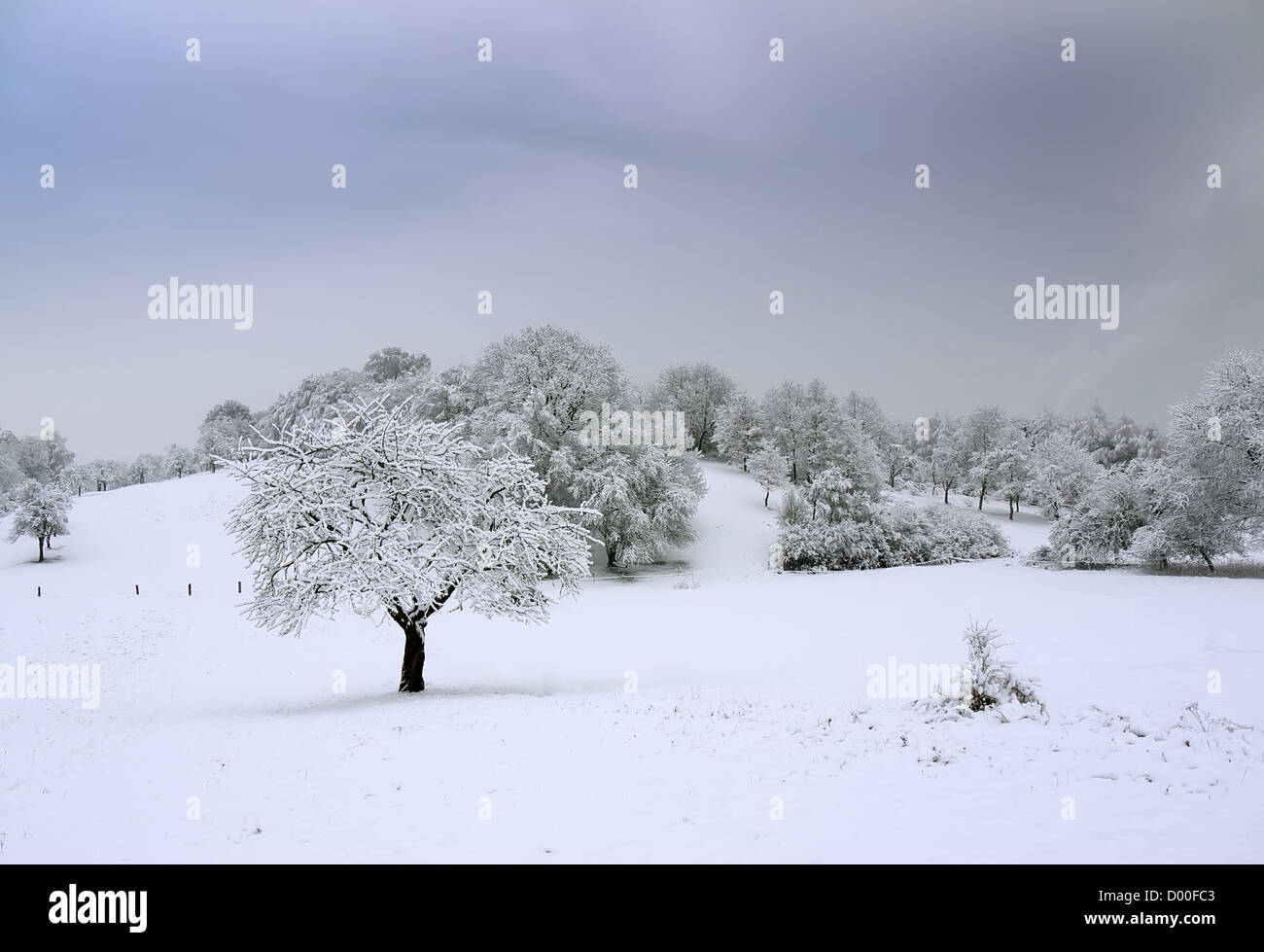 The countryside is covered with snow Stock Photo - Alamy